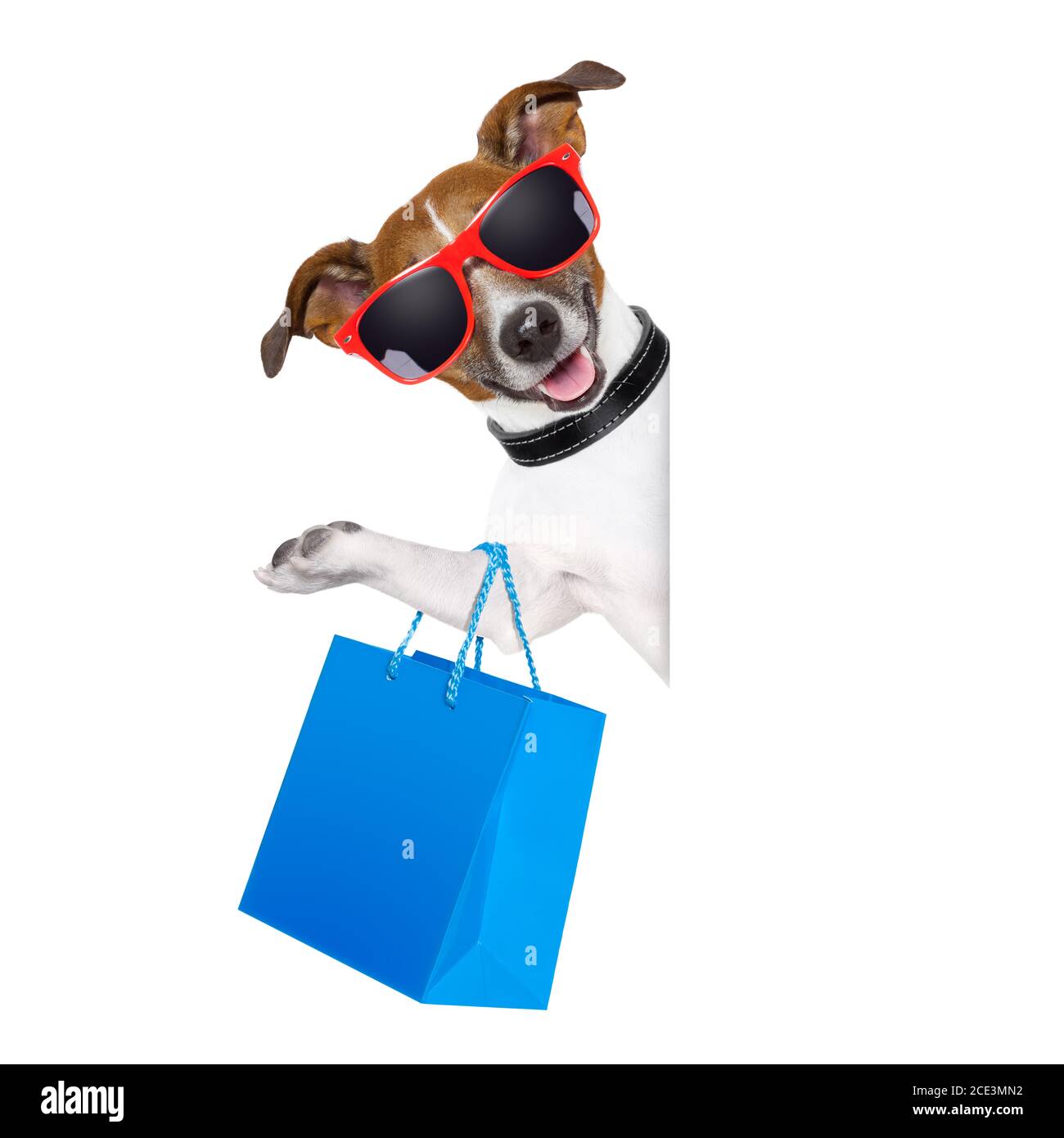 shopaholic shopping dog Stock Photo - Alamy