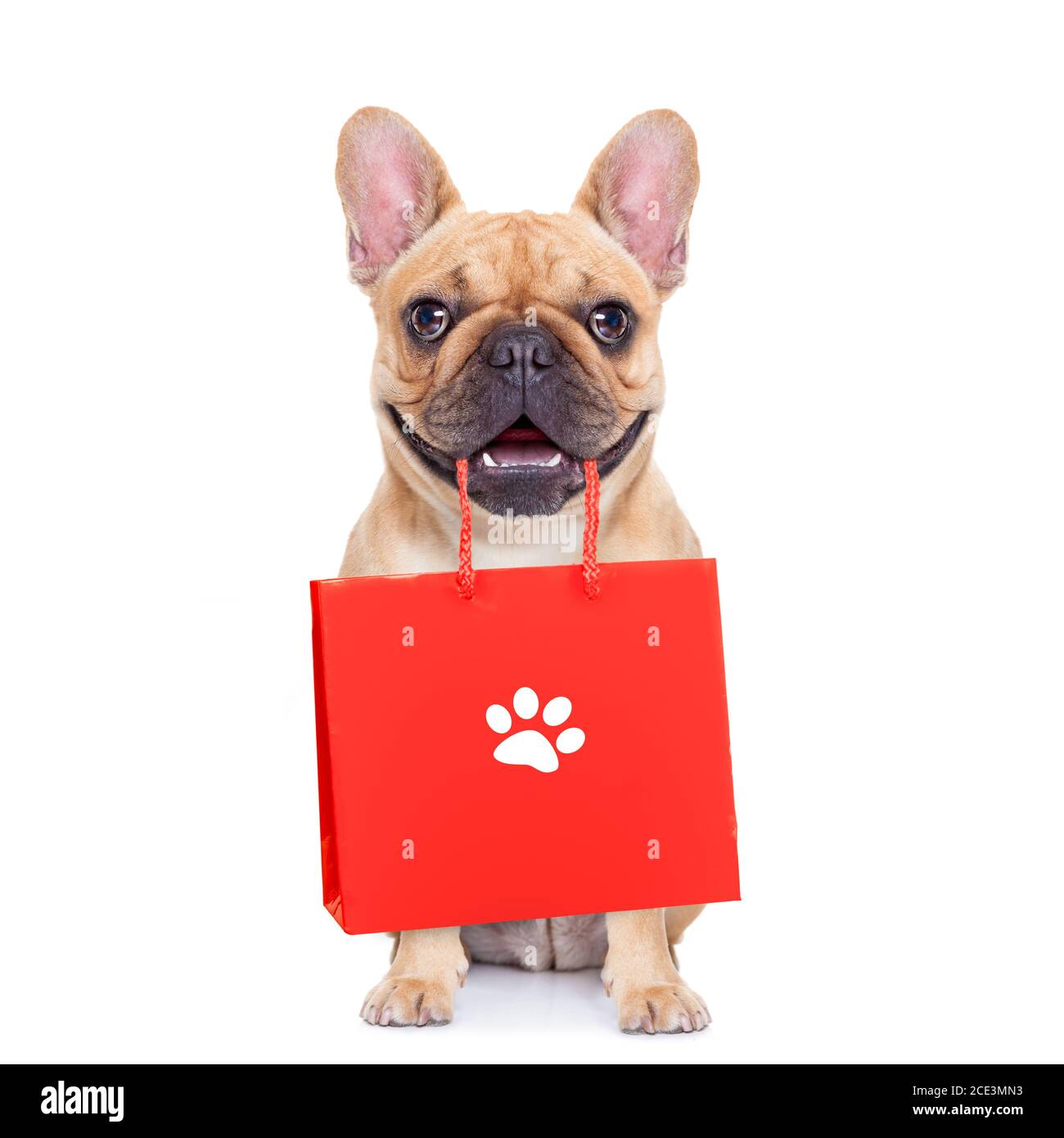 sale shopping dog Stock Photo - Alamy