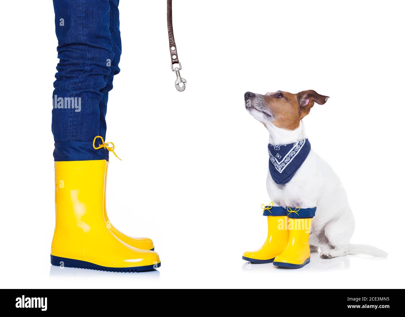 Autumn walk dog Cut Out Stock Images & Pictures - Alamy