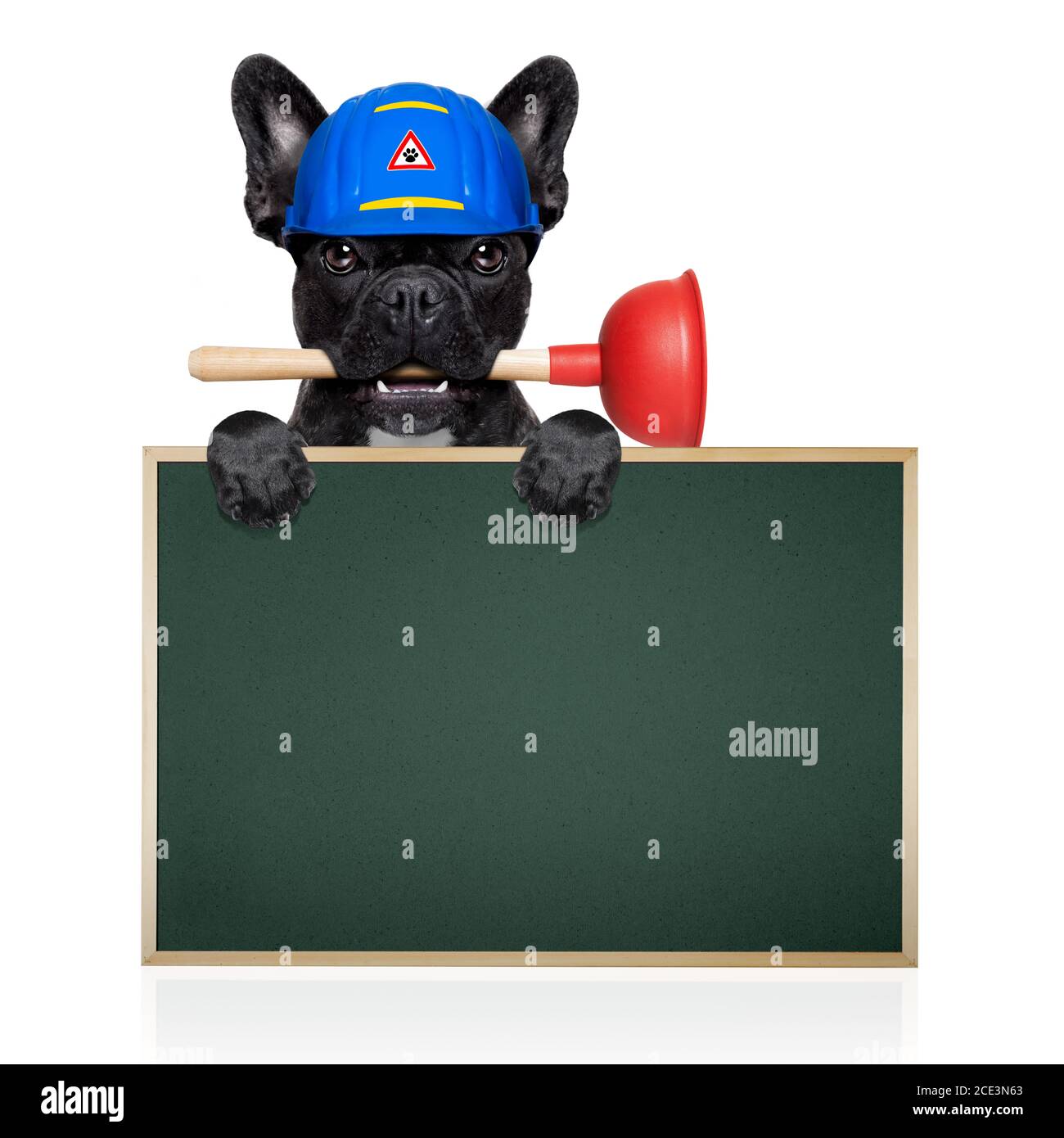 plumber dog with plunger Stock Photo - Alamy
