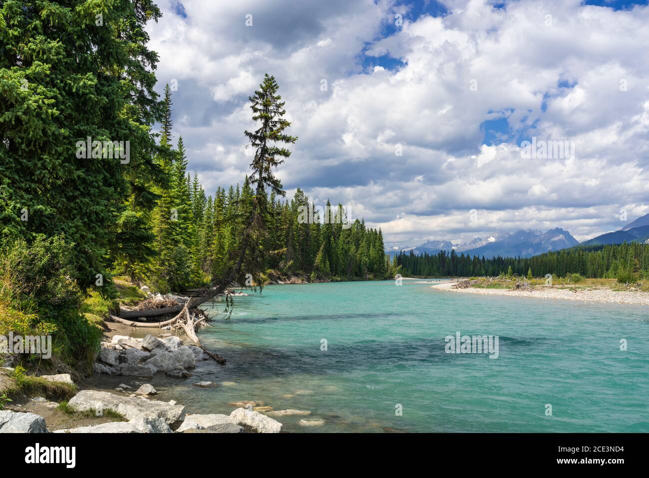 A scenic creek in Kootenay National Park, British Columbia, Canada ...