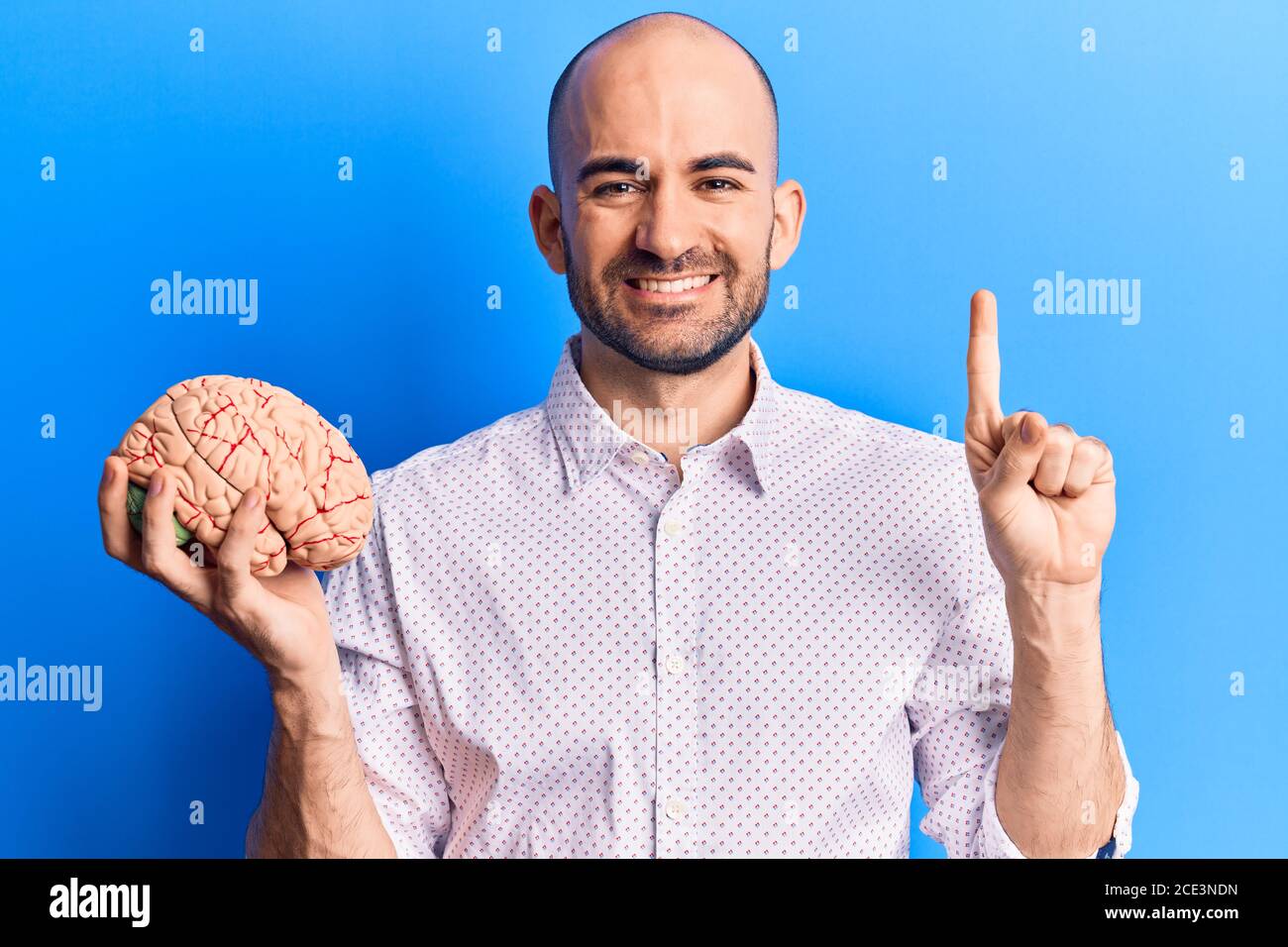 Young handsome bald man holding brain smiling with an idea or question ...