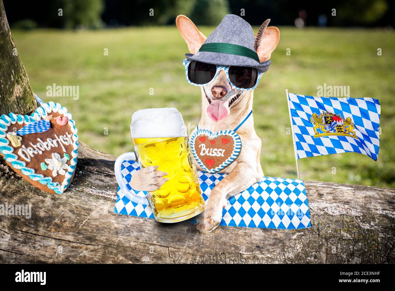 bavarian beer dog Stock Photo - Alamy