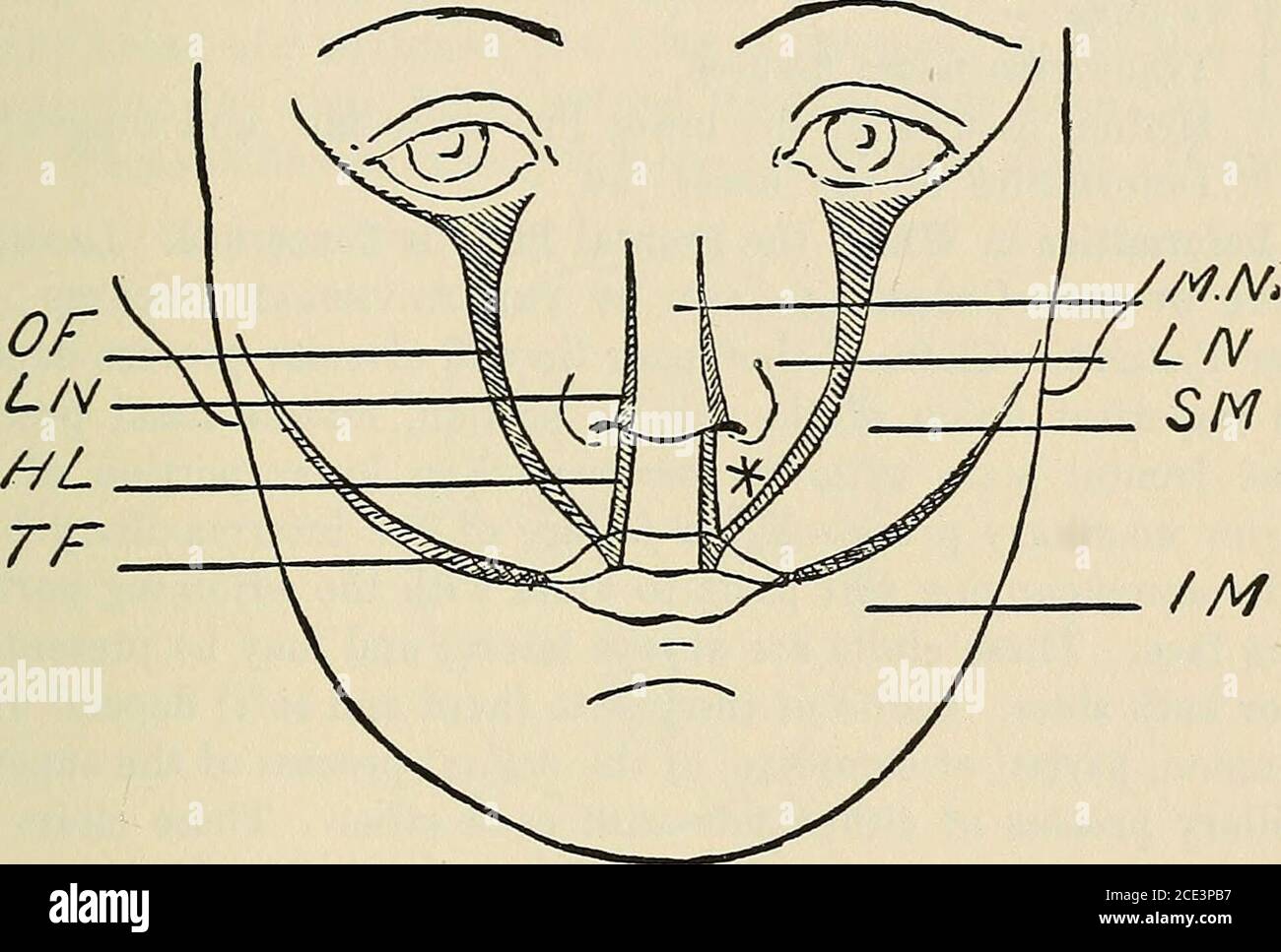 . Operative surgery, for students and practitioners . es rapidly in ...