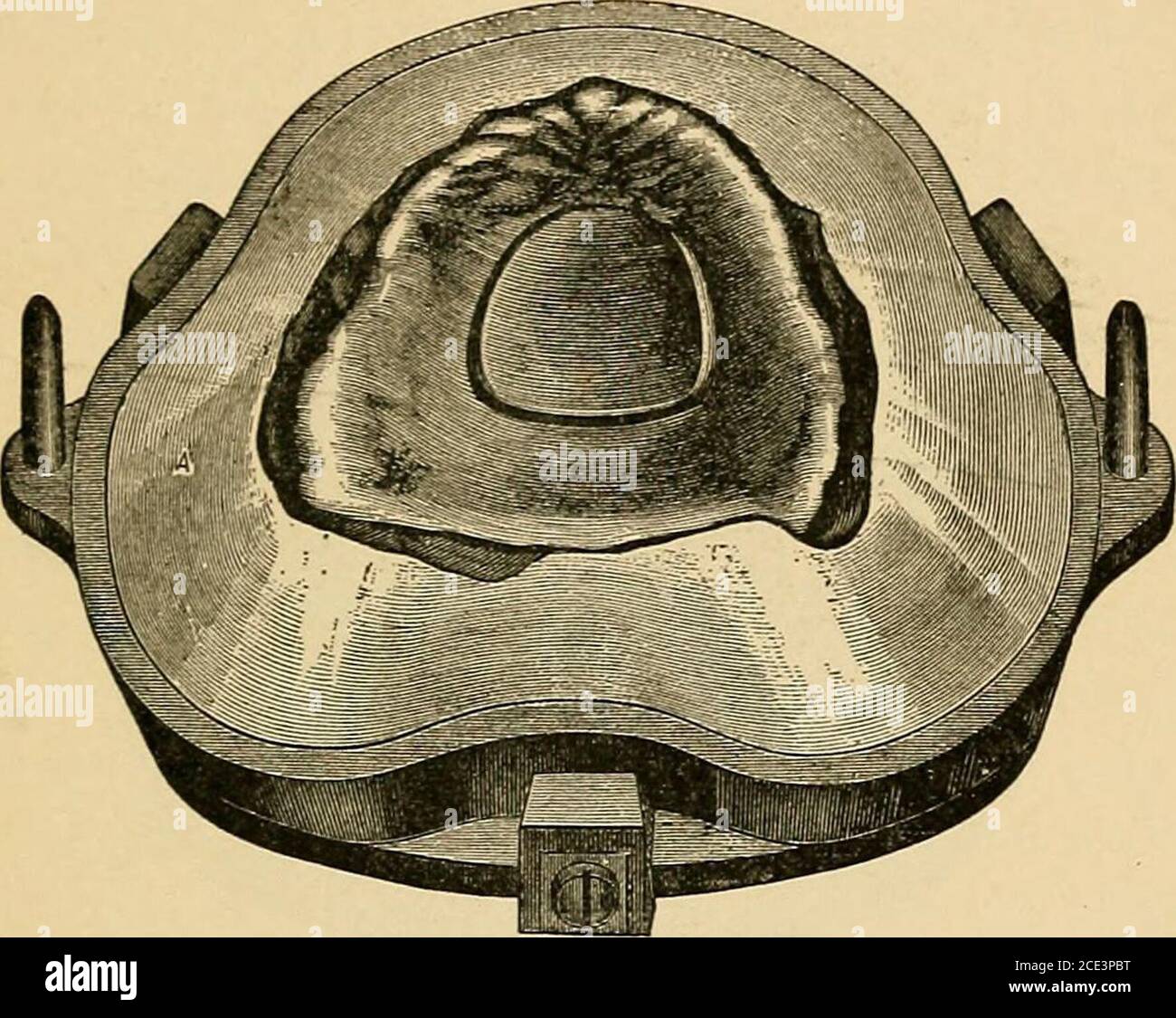 Flasking hi-res stock photography and images - Alamy