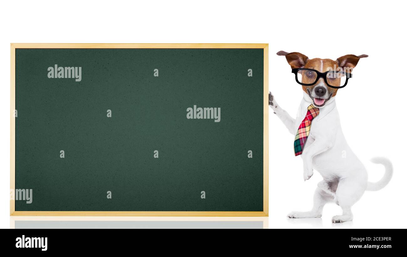 School classroom teacher funny hi-res stock photography and images - Alamy