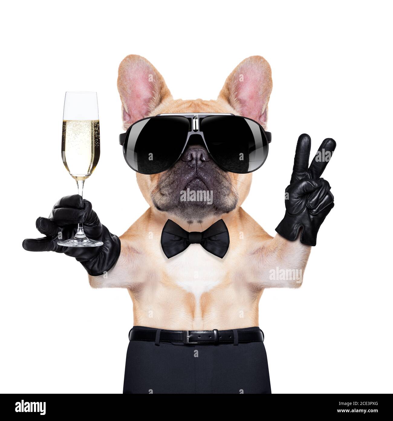Very cool party hi-res stock photography and images - Alamy