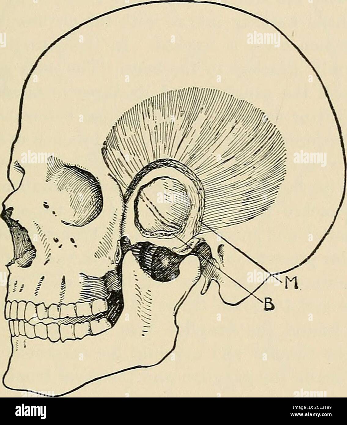 . Operative surgery, for students and practitioners . isconsiderable ...