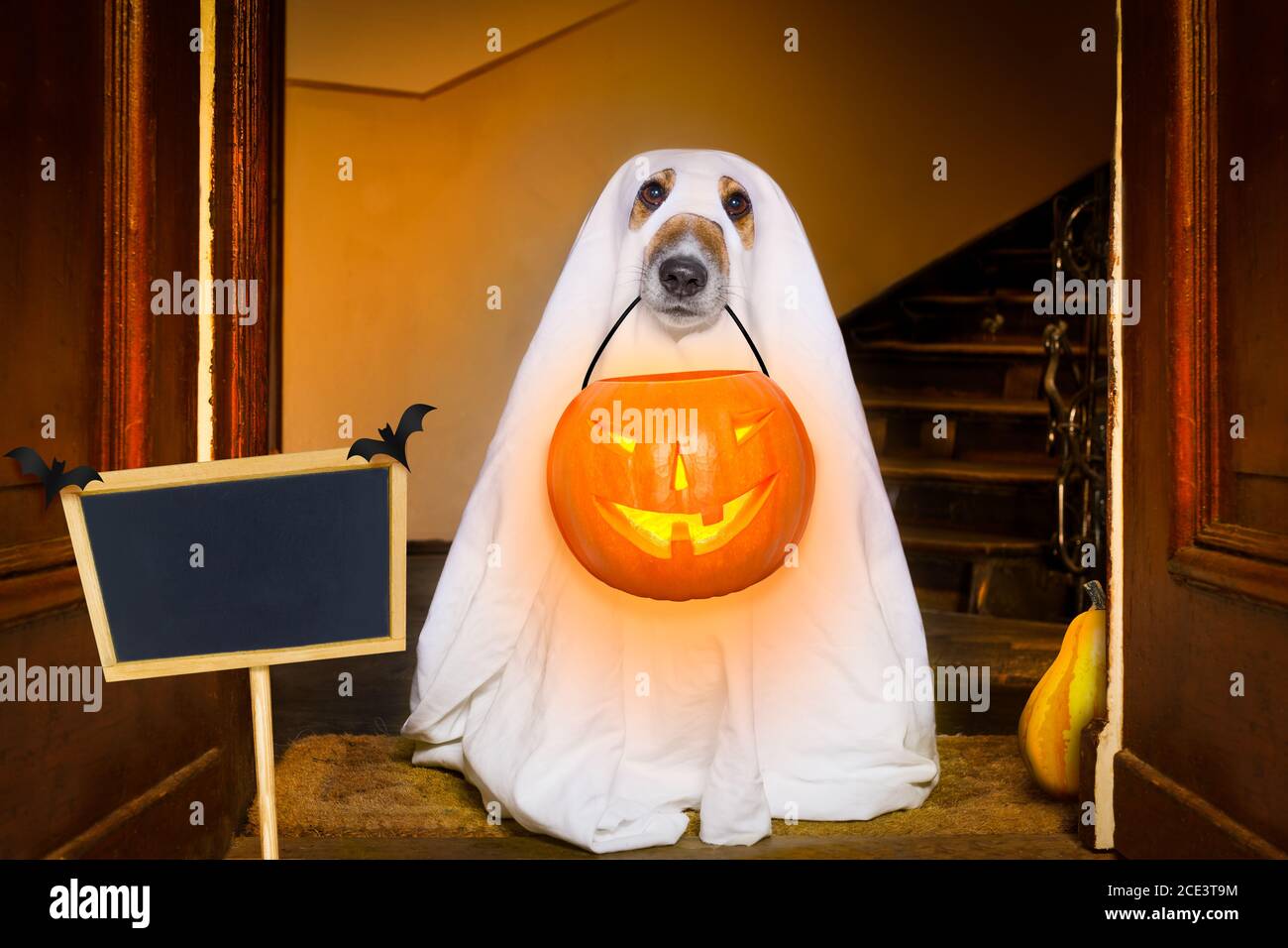 Scary ghost dog hi-res stock photography and images - Alamy