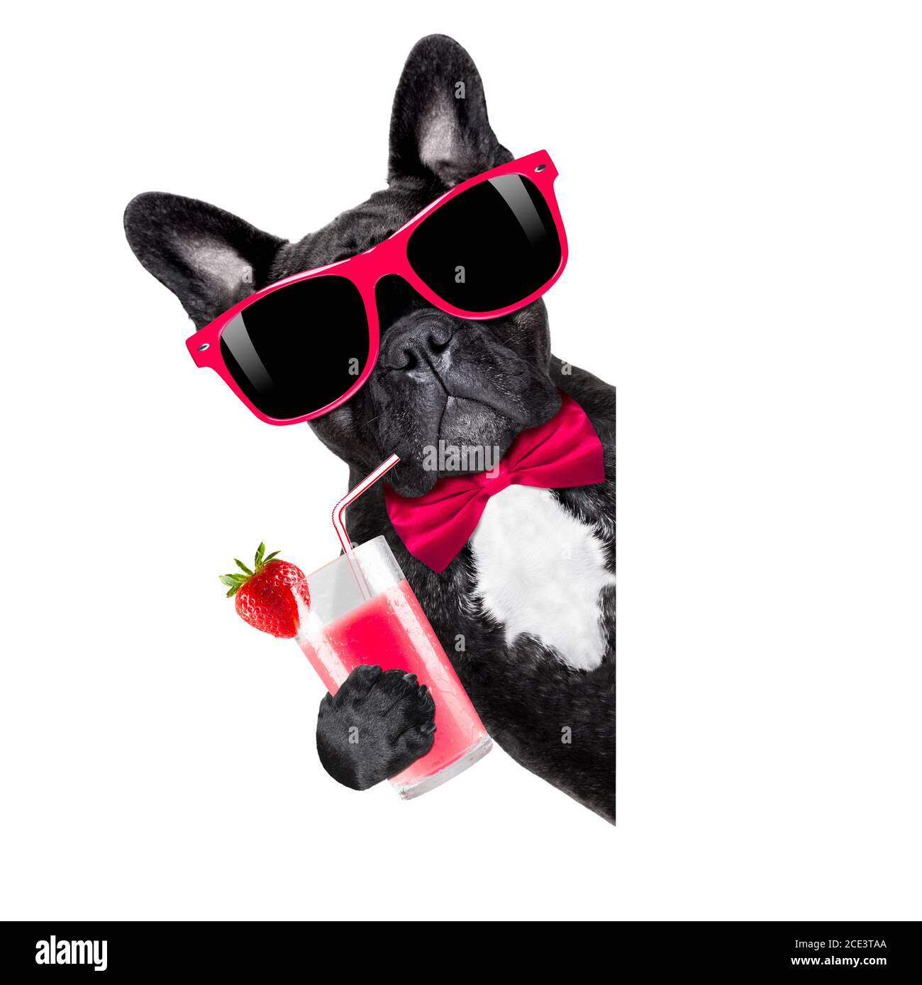 cocktail smoothie dog Stock Photo - Alamy