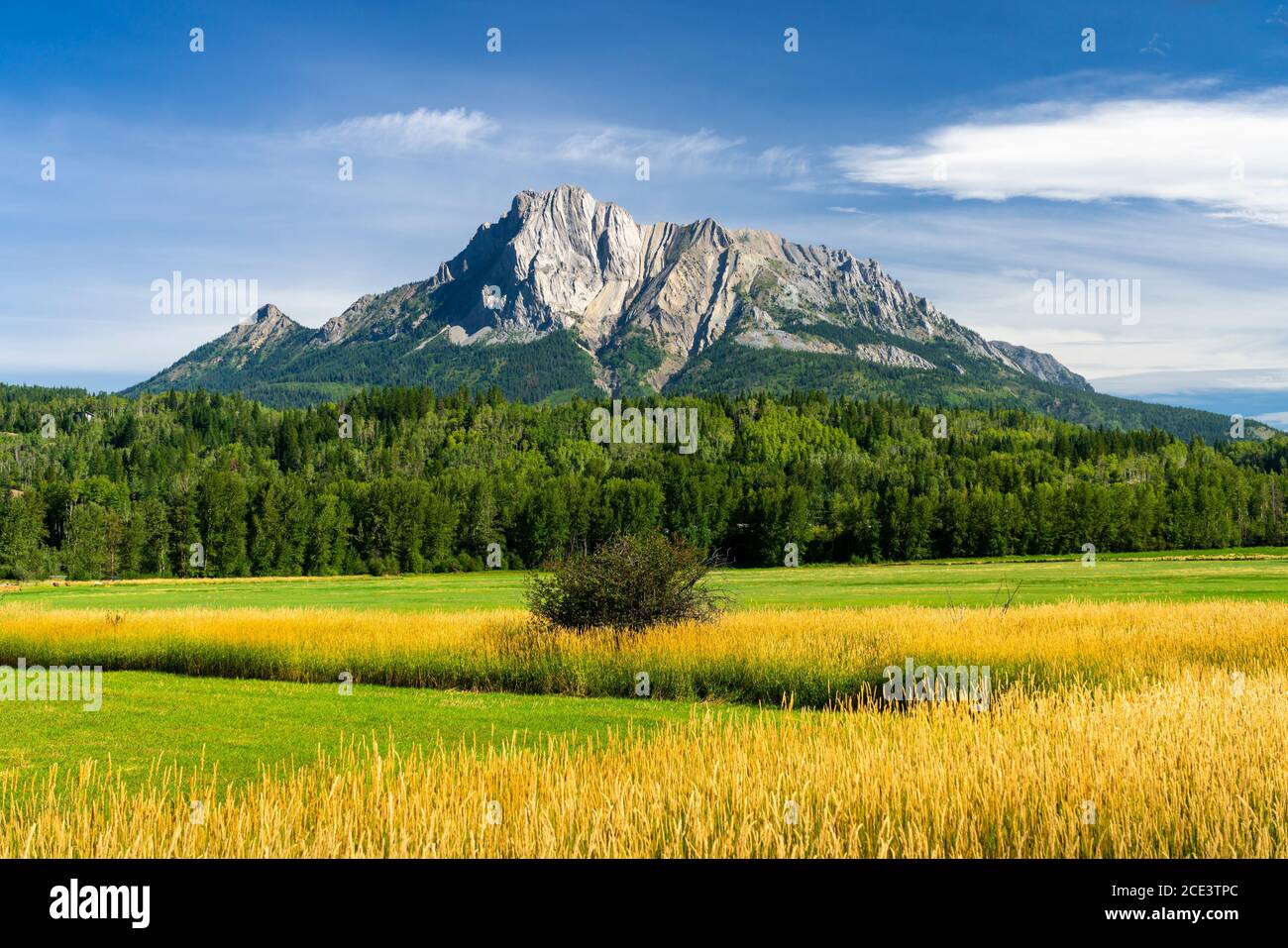 The Crowsnest Pass in British Columbia, Canada Stock Photo - Alamy