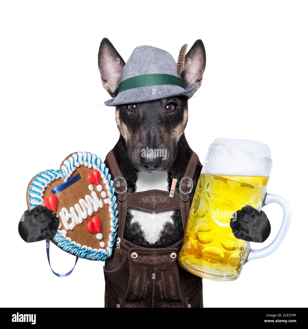 bavarian beer dog Stock Photo - Alamy