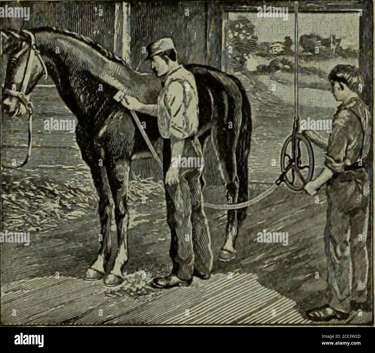 . Hardware merchandising (January-March 1908) . New Stewart.. th ...