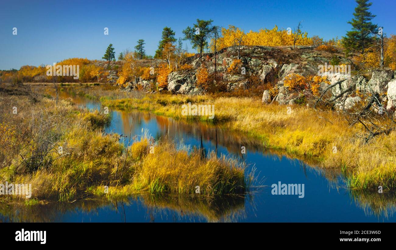 Fall foliage color in the Whiteshell Provincial Park, Manitoba, Canada ...
