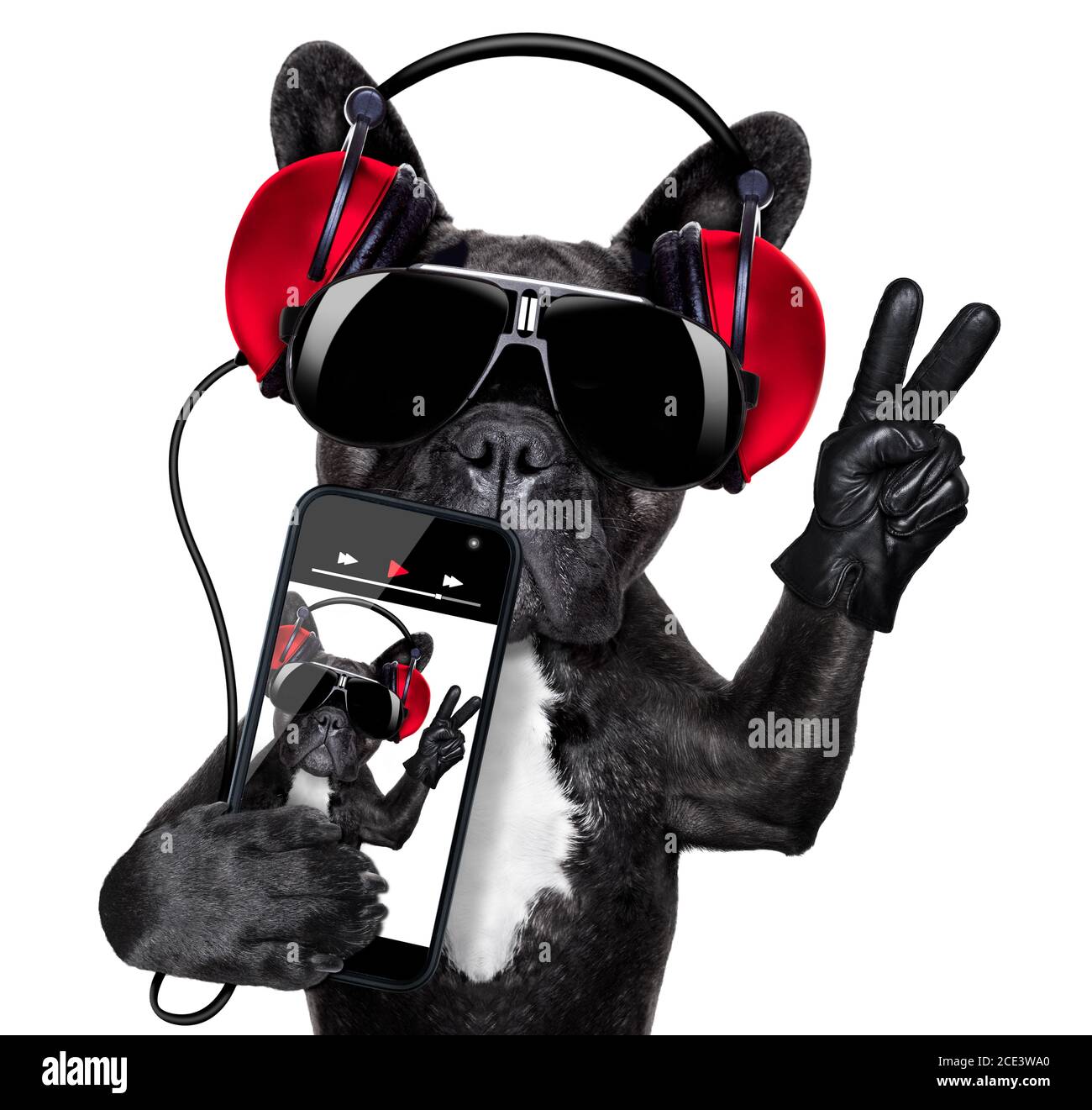 Funny dog in earphone hi-res stock photography and images - Alamy
