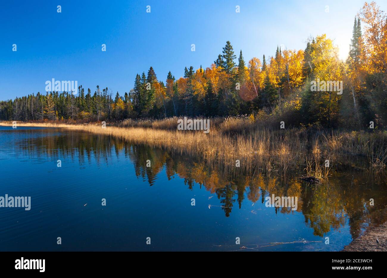 Fall foliage color in the Whiteshell Provincial Park, Manitoba, Canada ...
