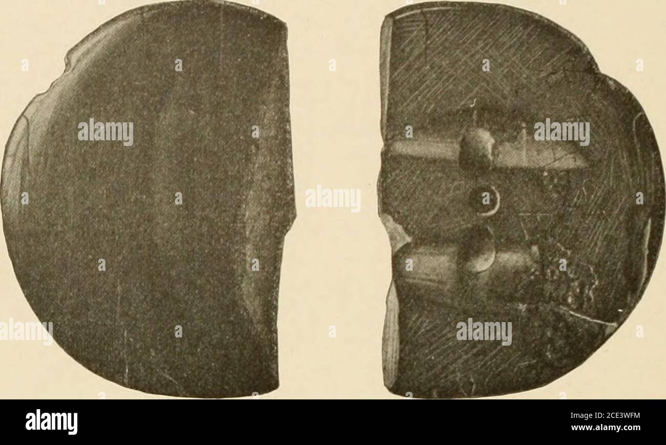 Shell gorget hi-res stock photography and images - Alamy