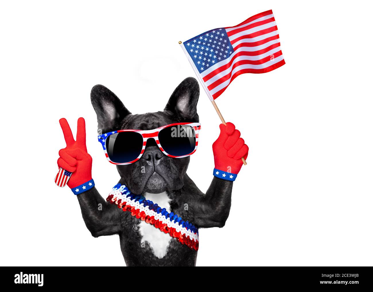 4th oh july dog Stock Photo - Alamy