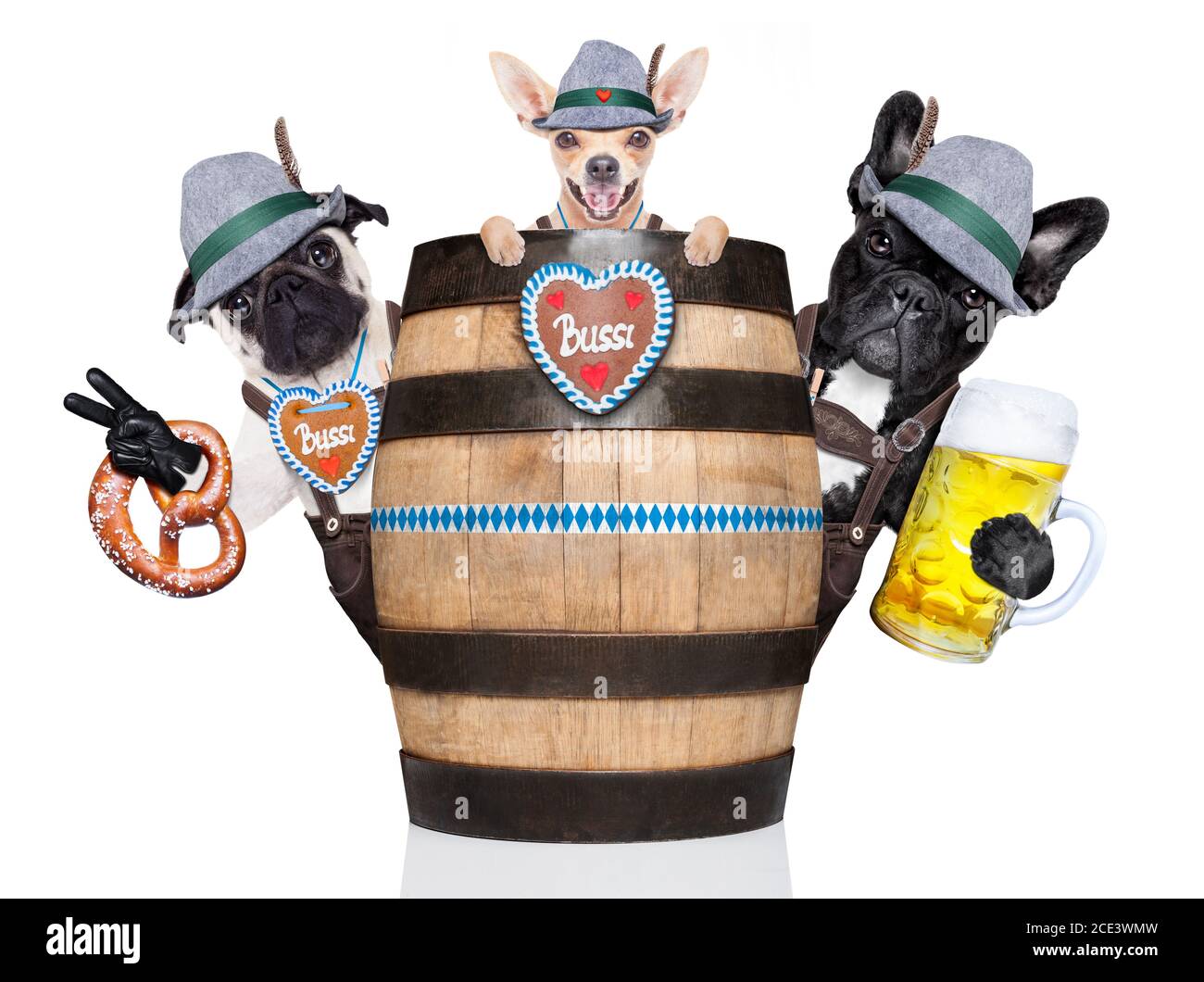group of bavarian beer dogs Stock Photo - Alamy