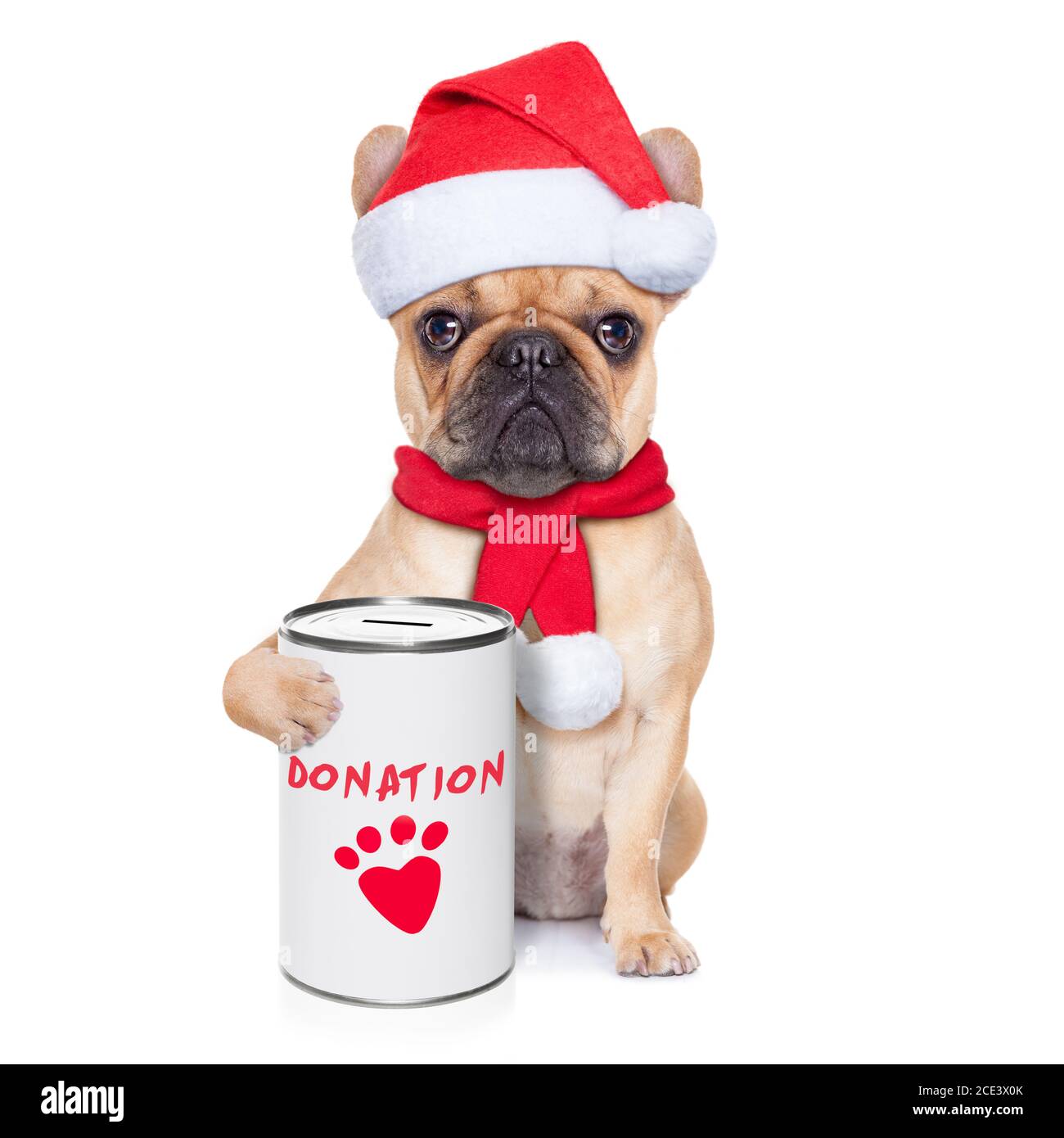 Donation box animal hi-res stock photography and images - Alamy