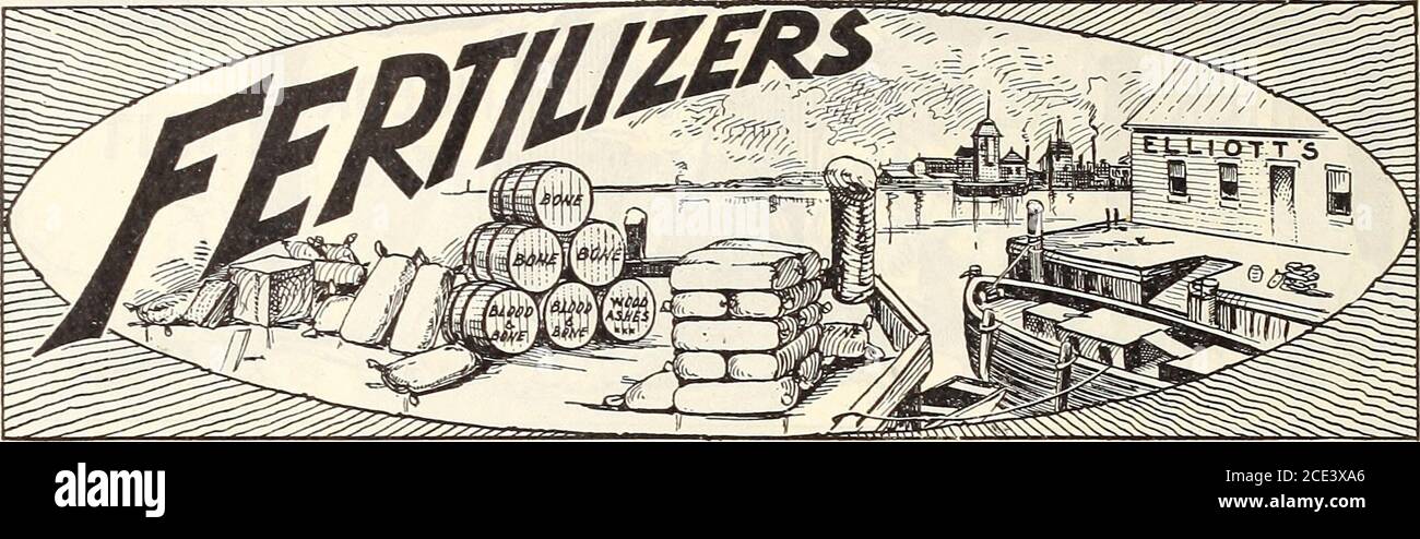 Poultry feeding for fattening hi-res stock photography and images - Alamy