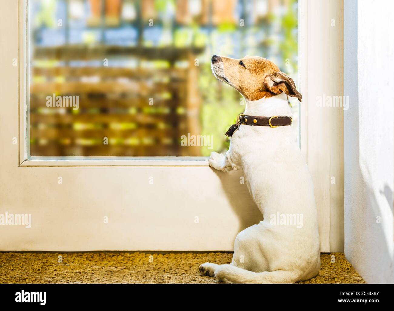 Friendship and fun under the sun hi-res stock photography and images ...