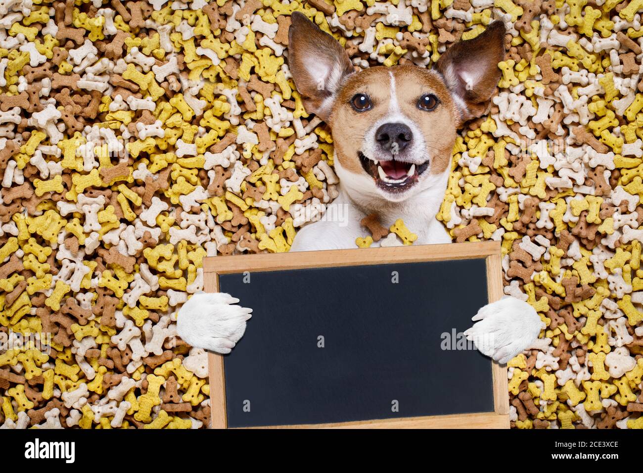 hungry dog in big food mound Stock Photo - Alamy