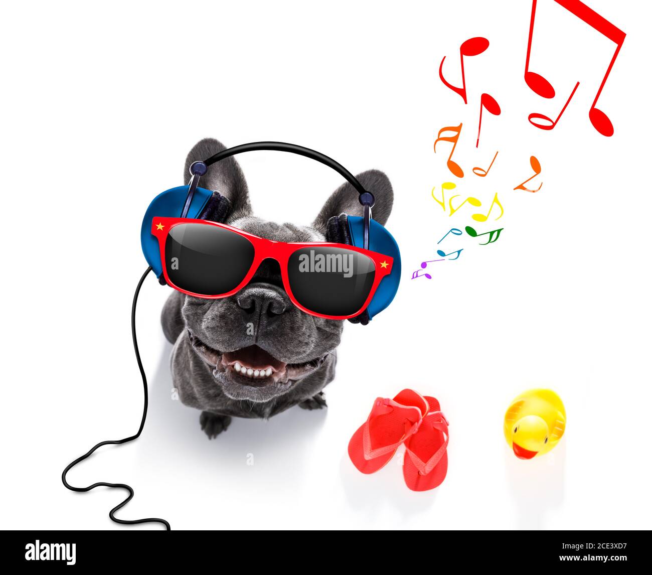 dog with music earphones Stock Photo - Alamy