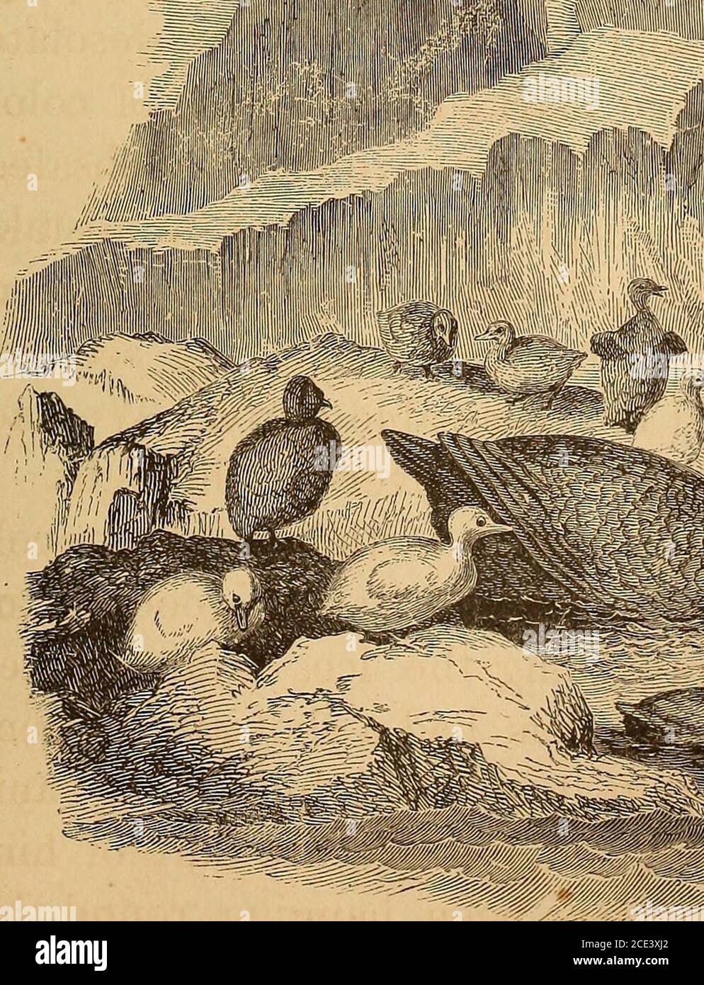 . The frozen zone and its explorers; a comprehensive record of voyages ...
