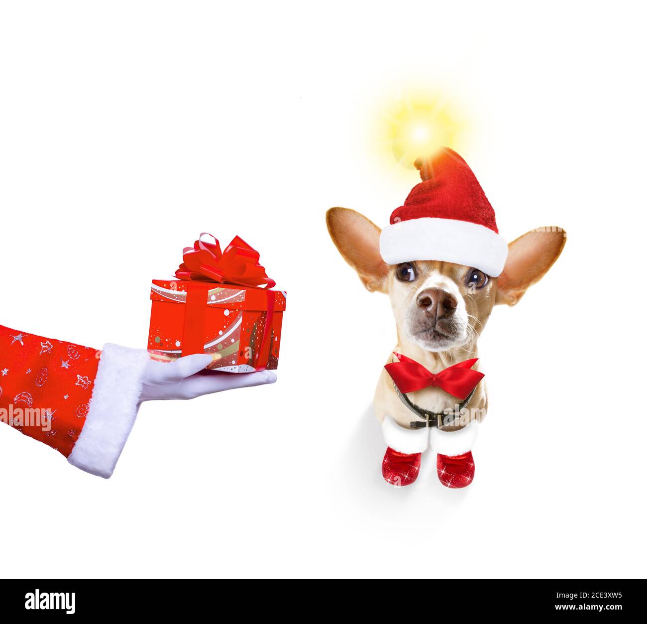 christmas santa claus dog Stock Photo - Alamy