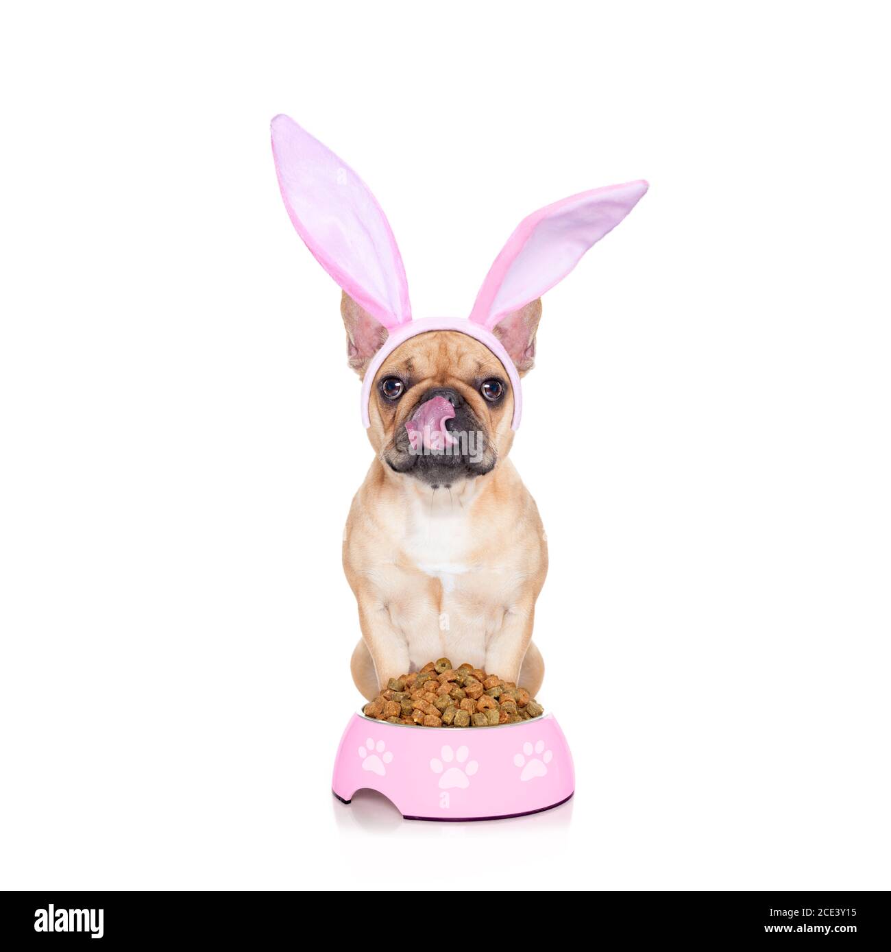 Hungry bunny hi-res stock photography and images - Alamy