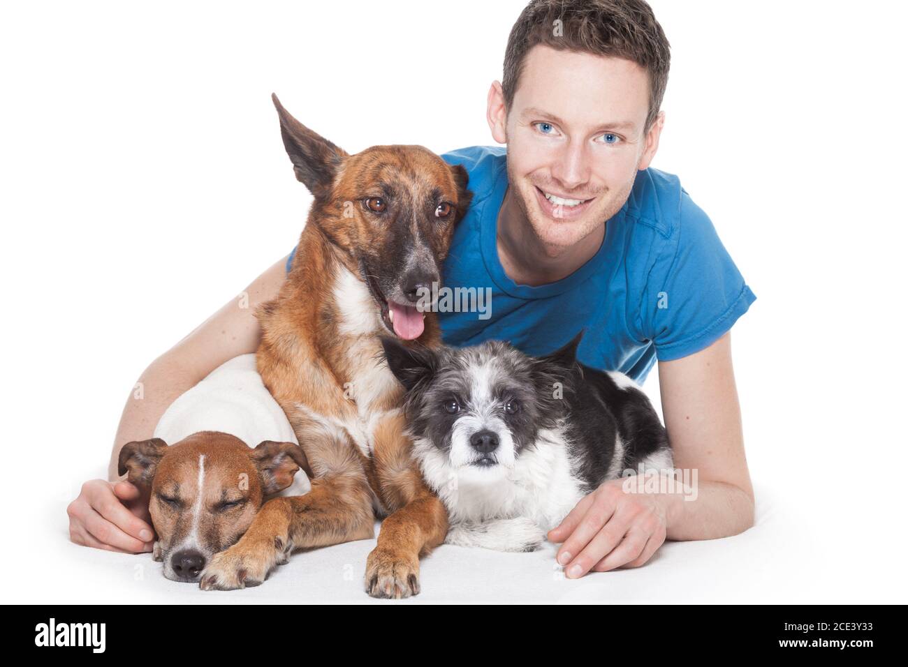 dog owner and three dogs Stock Photo - Alamy