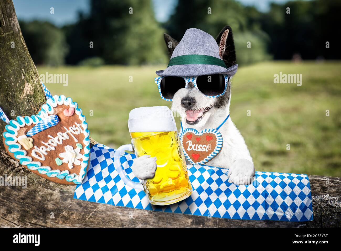 bavarian beer dog Stock Photo - Alamy