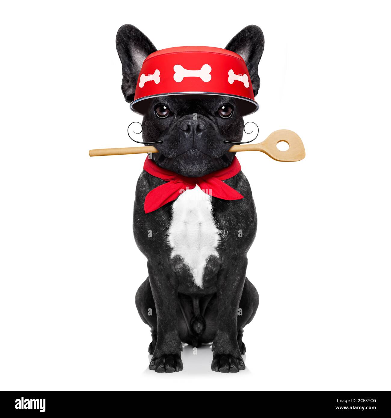 Service dog restaurant Cut Out Stock Images & Pictures - Alamy