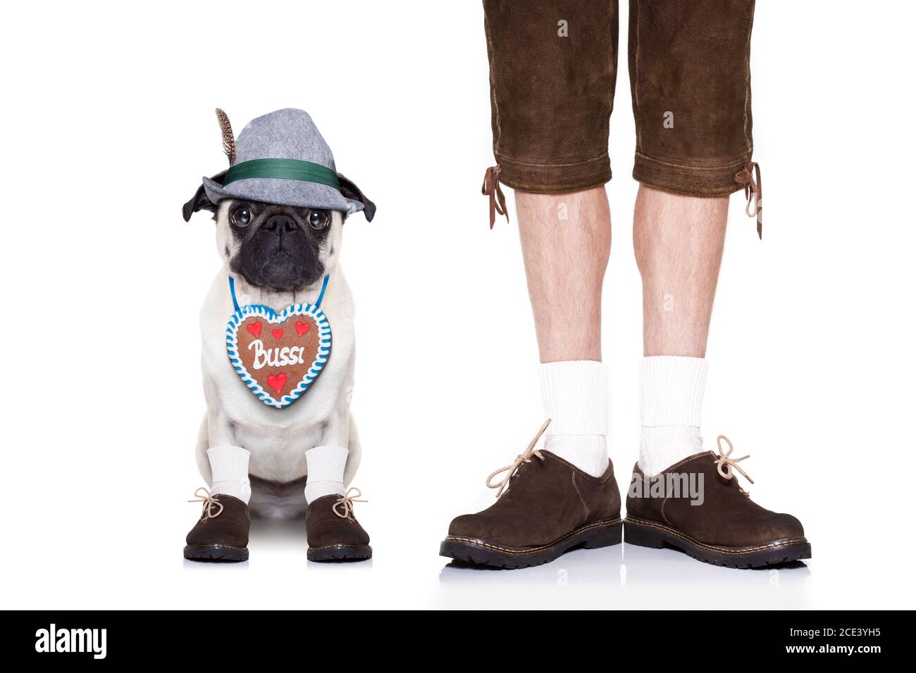 bavarian dog and owner Stock Photo - Alamy