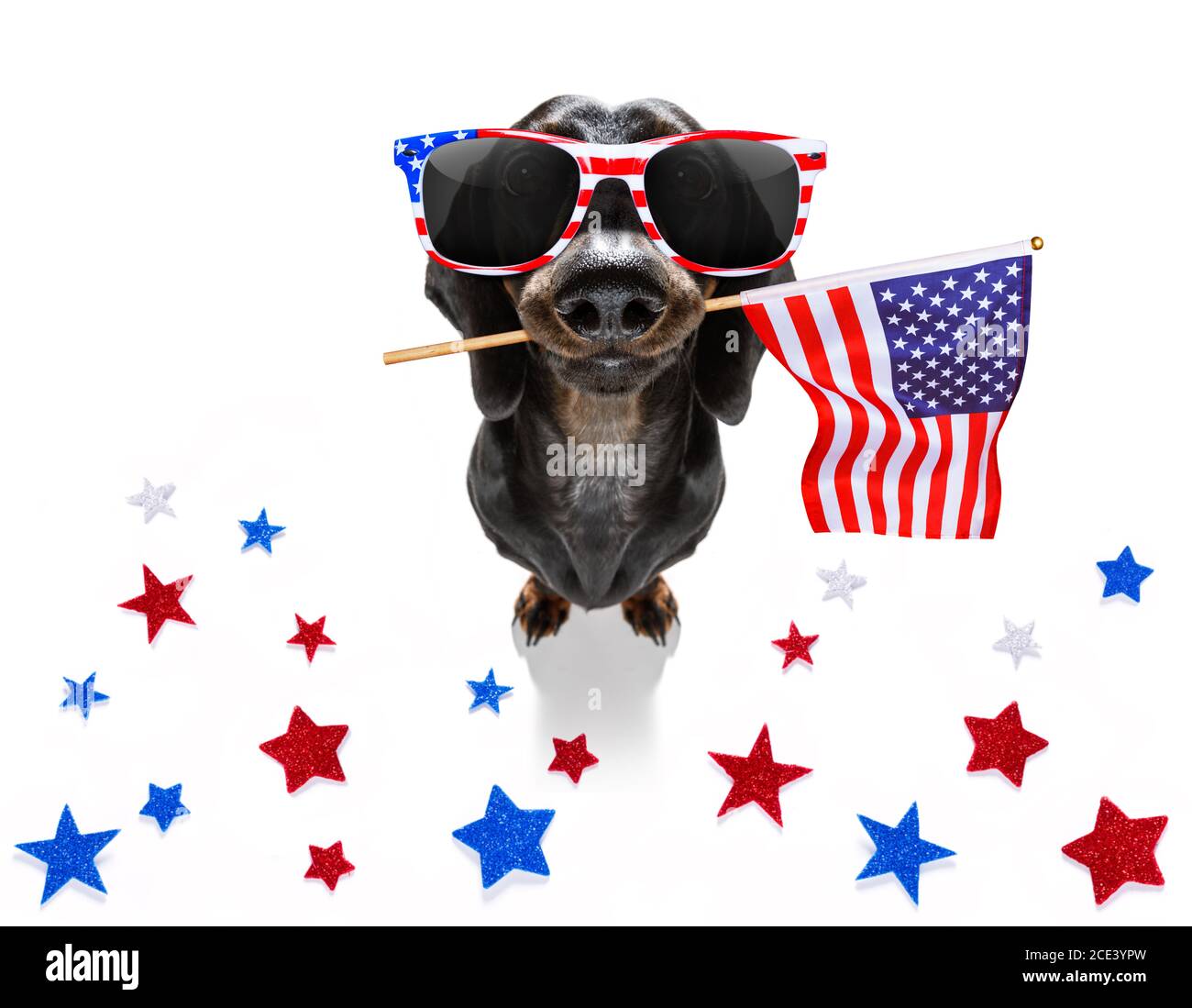 independence day 4th of july dog Stock Photo - Alamy