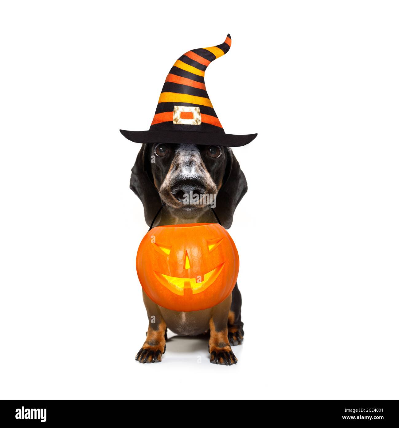 F halloween hi-res stock photography and images - Alamy