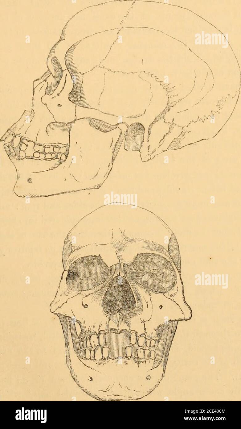. Evidence as to man's place in nature . People having such skullswere ...