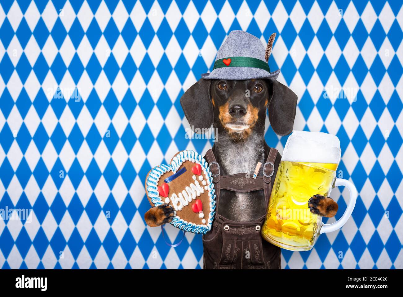 bavarian beer dog Stock Photo - Alamy