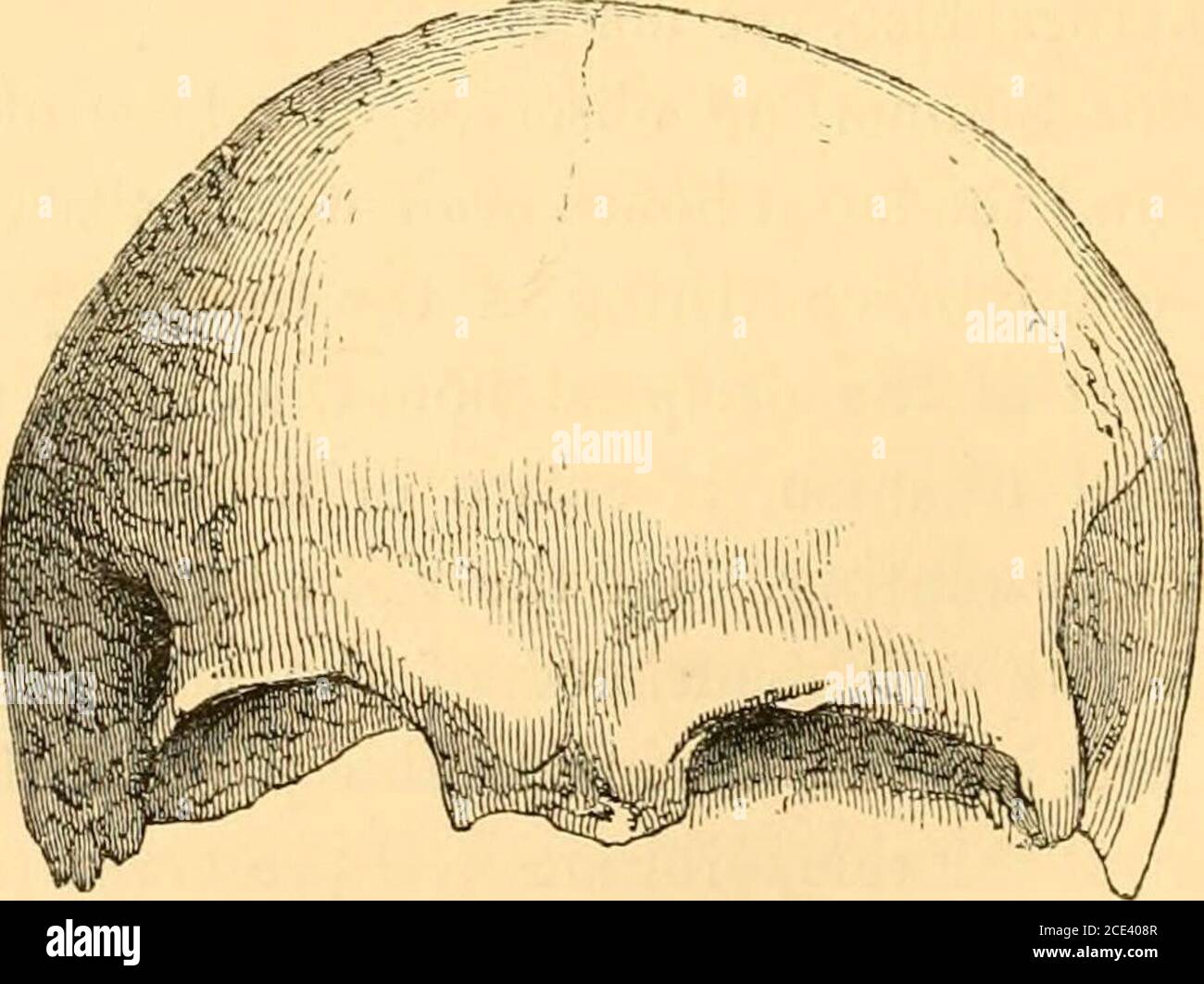 Marked and traceable hi-res stock photography and images - Alamy