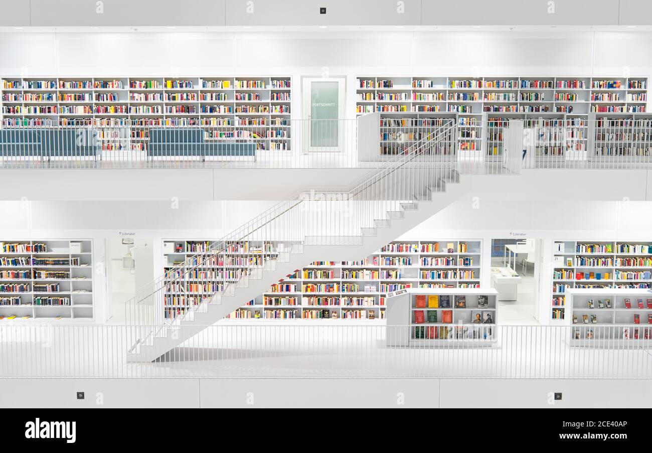 Beautiful Modern Libraries