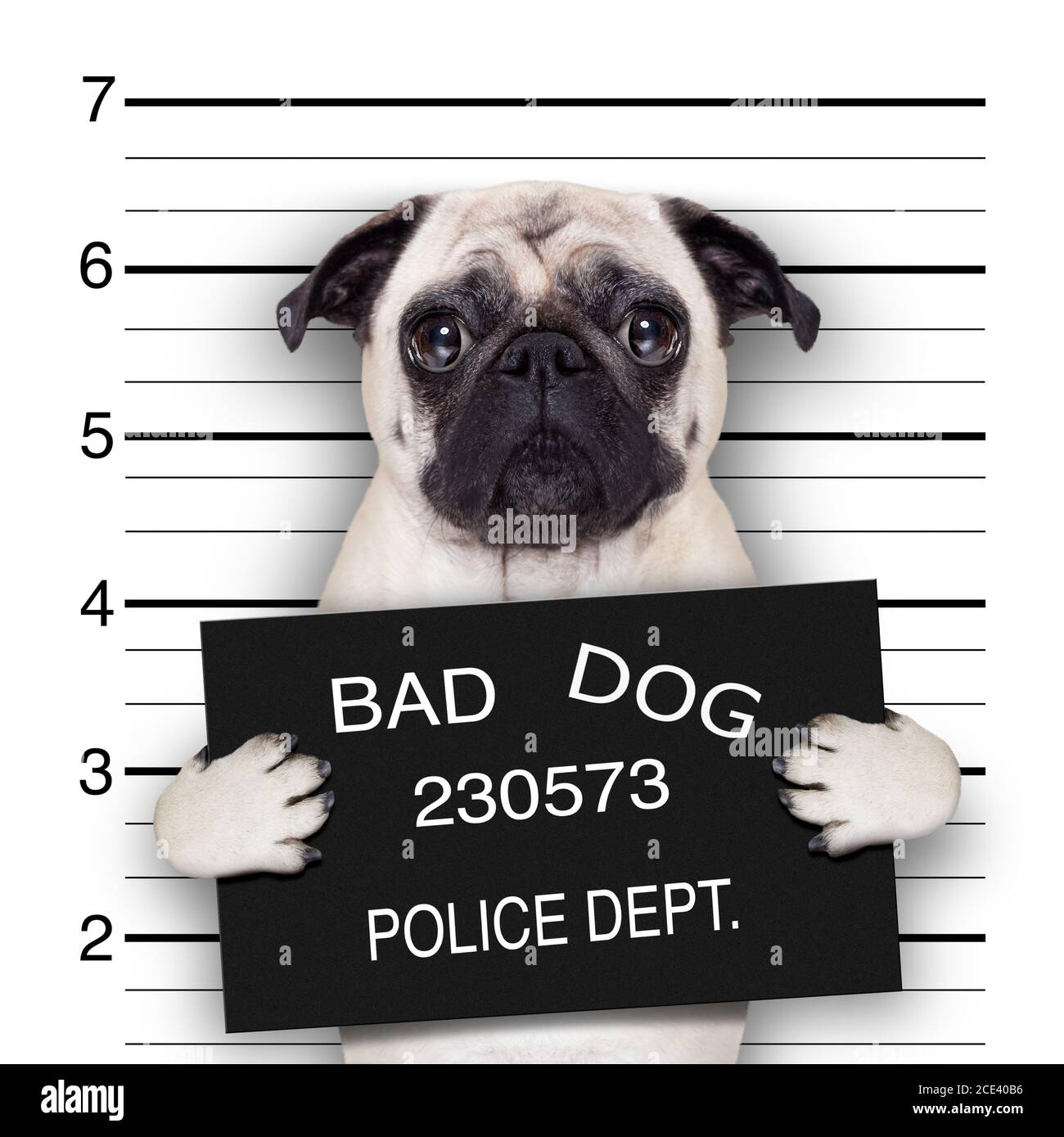 Mugshot Board High Resolution Stock Photography and Images - Alamy