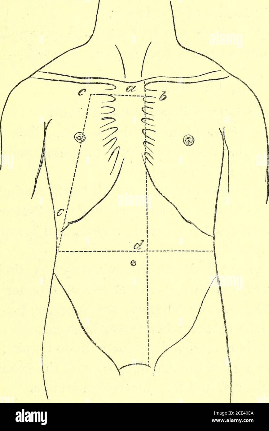 . A manual of dissections of the human body [electronic resource] : for ...