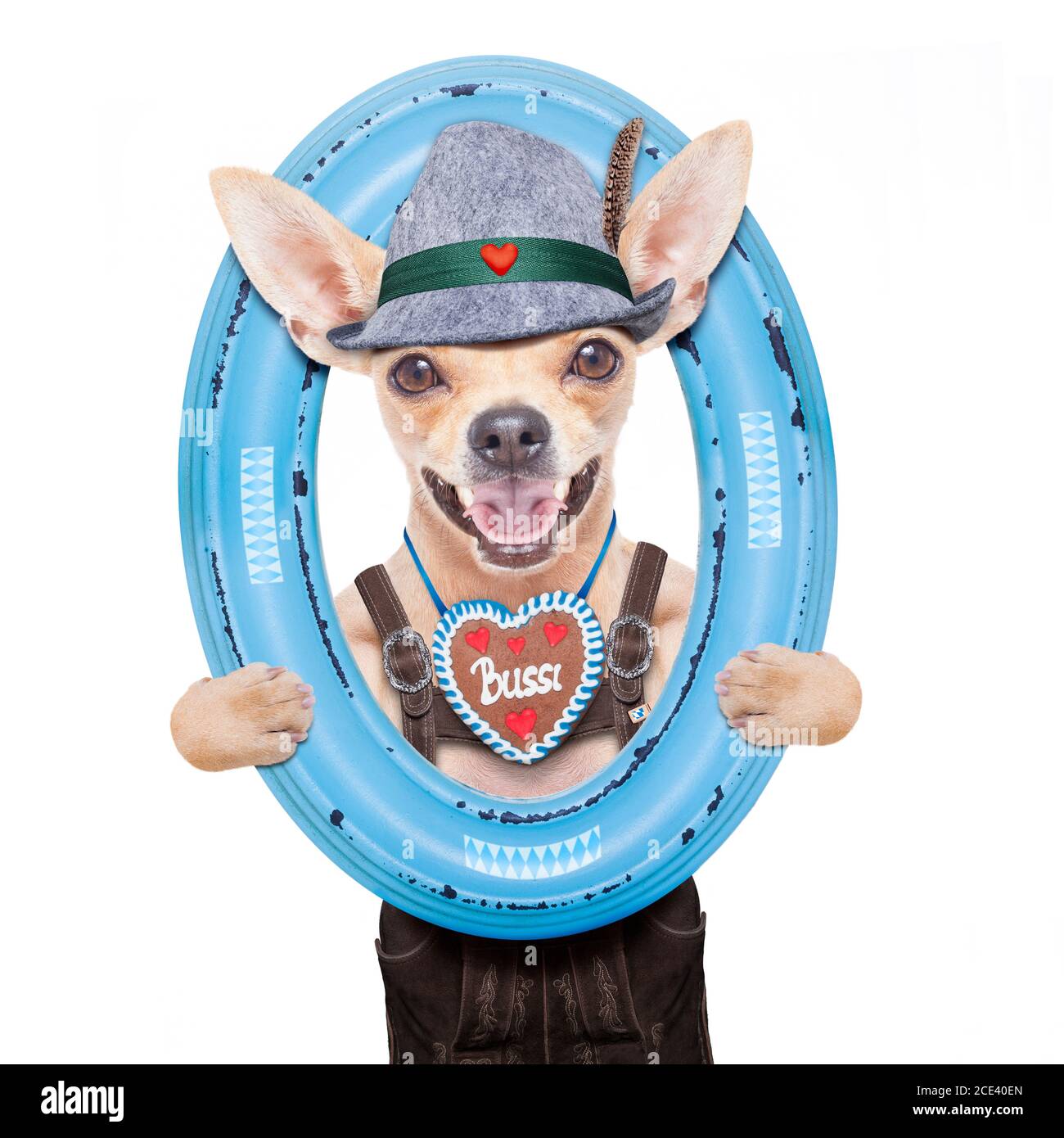 Animal drink beer poster hi-res stock photography and images - Alamy
