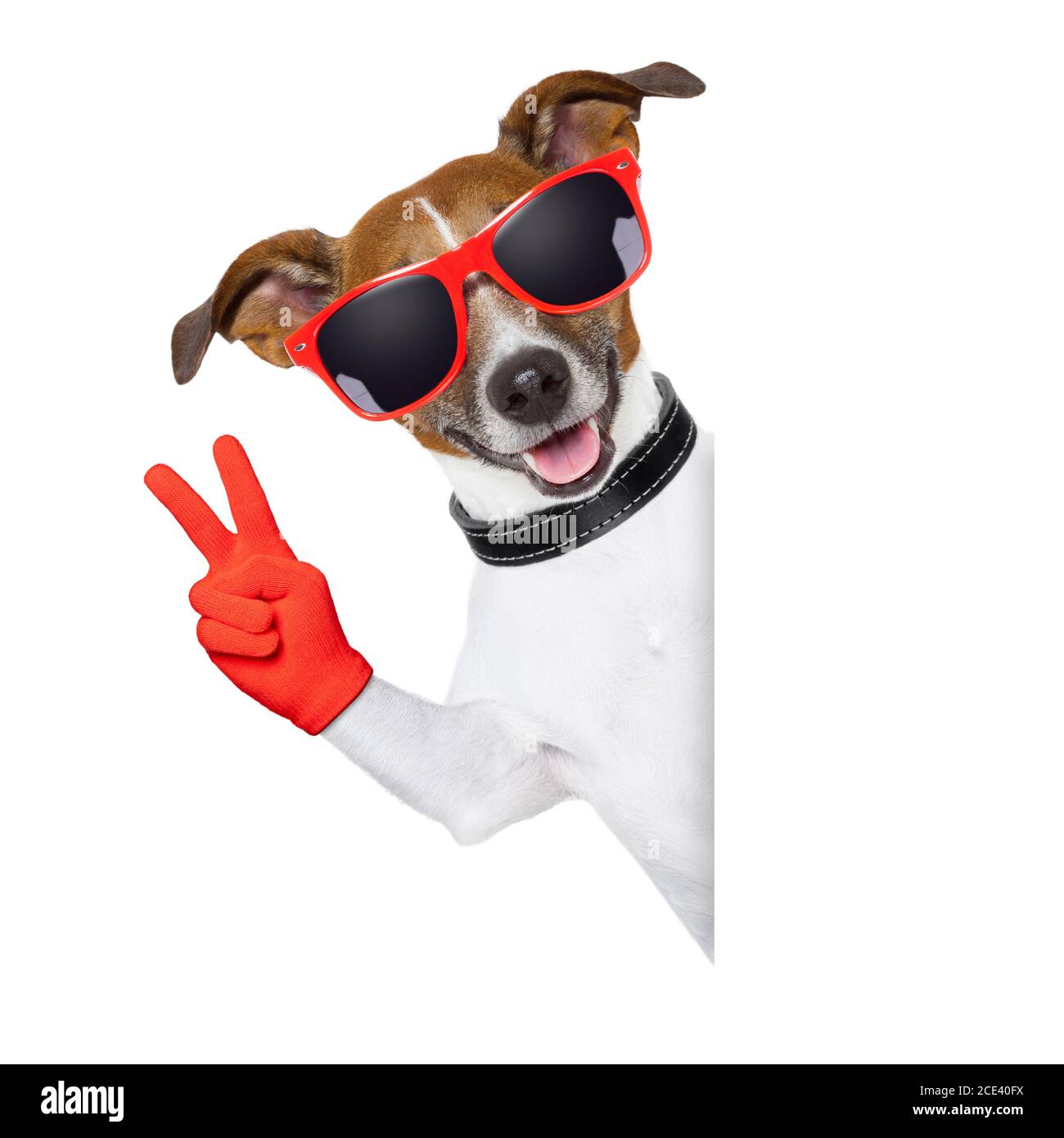 peace fingers dog Stock Photo - Alamy