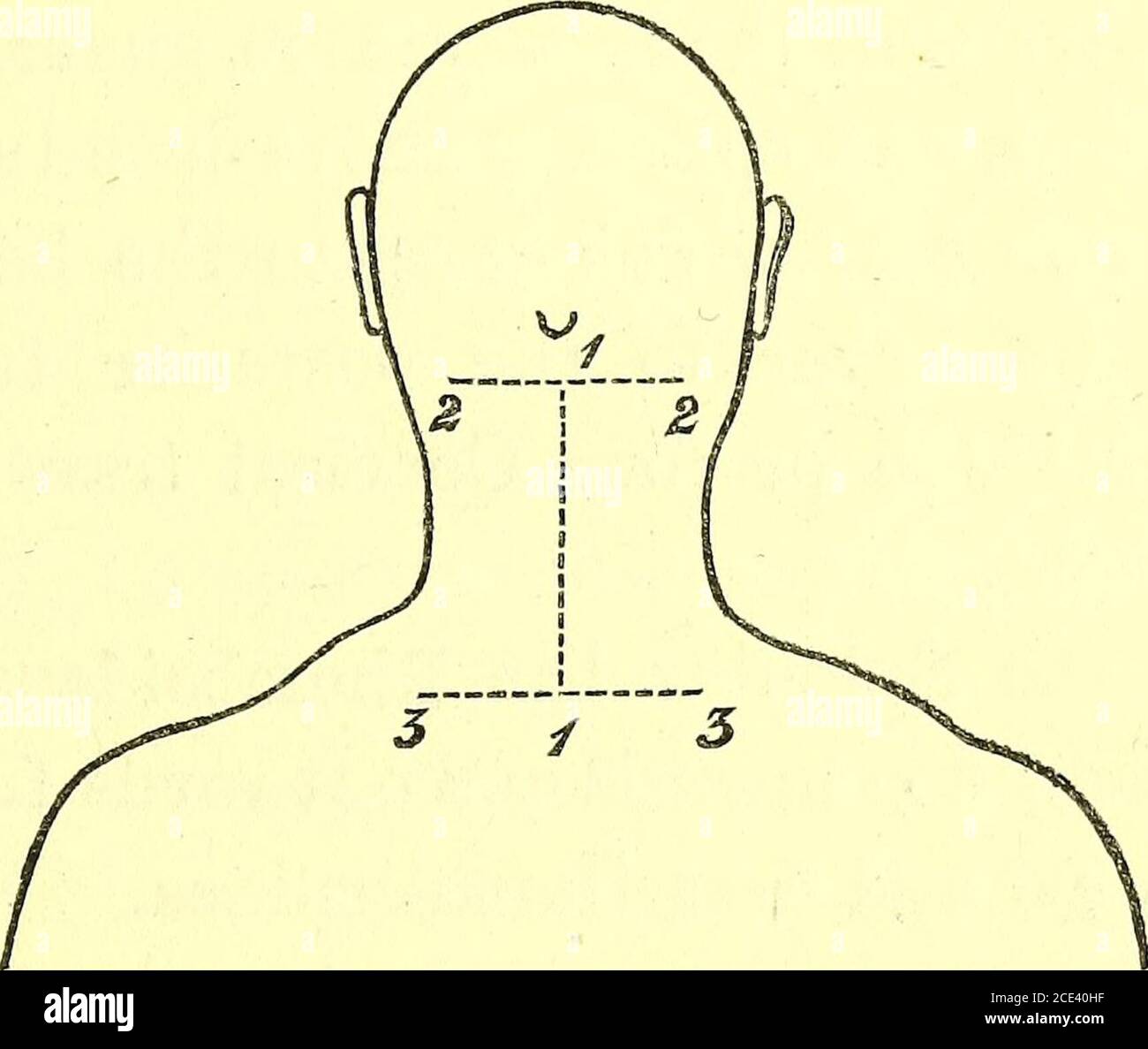 . A manual of dissections of the human body [electronic resource] : for ...
