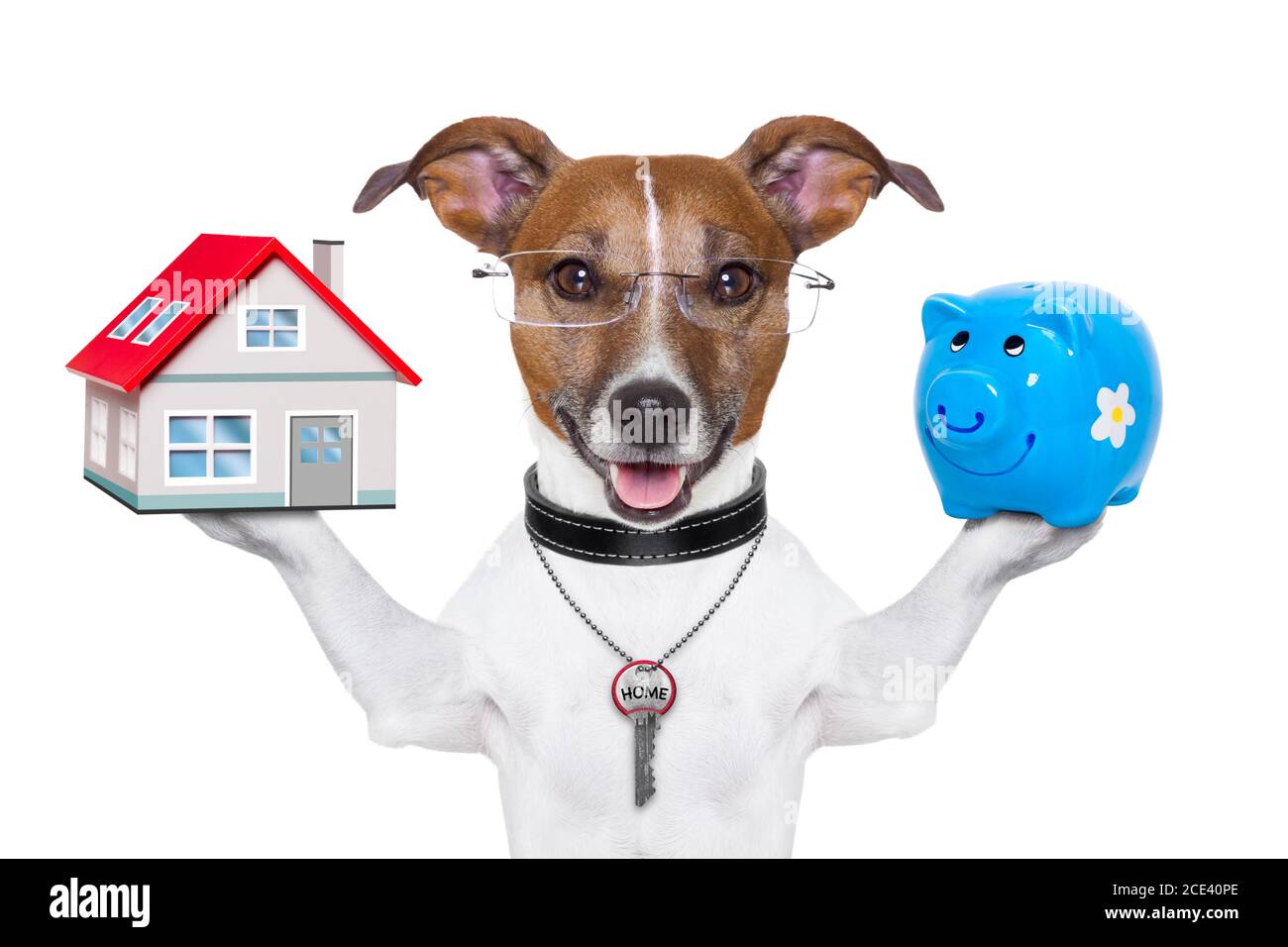 Dog security building hi-res stock photography and images - Alamy