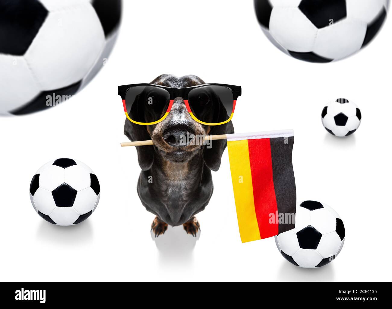 soccer football dog Stock Photo - Alamy