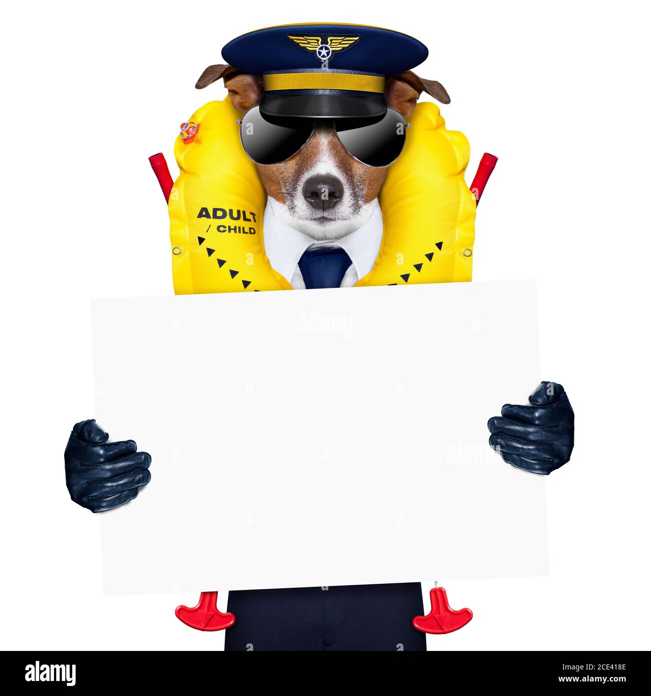 Dog pilot hi-res stock photography and images - Alamy