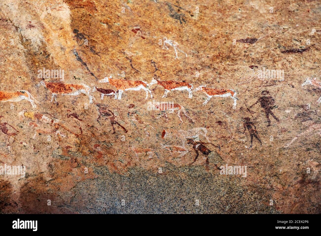White lady wall paintings in Brandberg,Namibia Stock Photo - Alamy